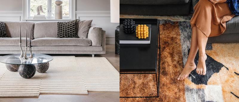 Quel Tapis Avec Canapé Gris
