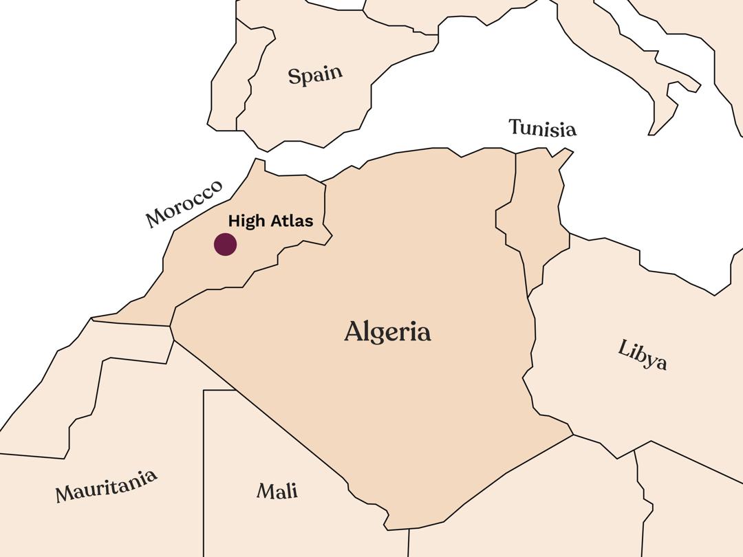 Wat is een Berber vloerkleed? Een complete gids - Rugvista